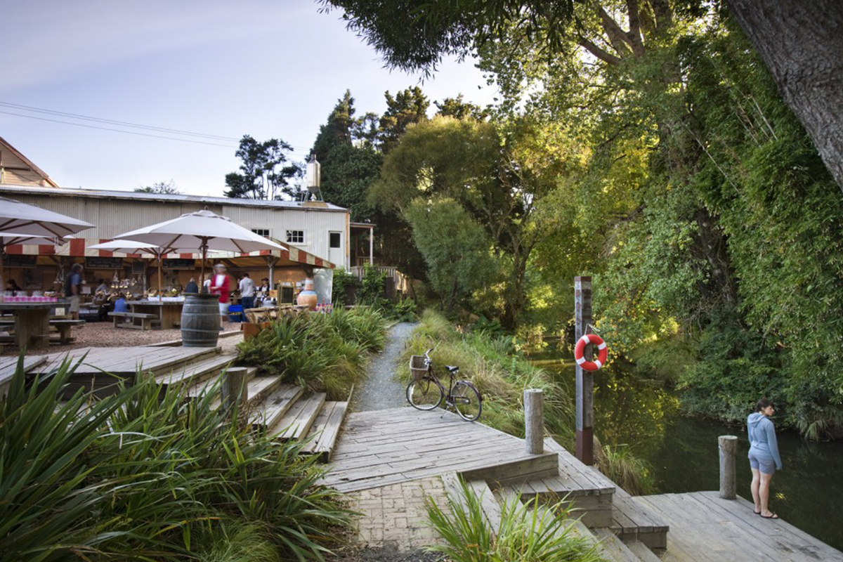 Discover Matakana - DallowBoss